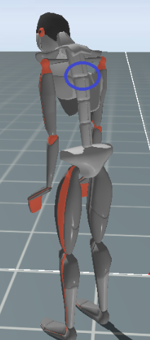 Xsens Biomechanical Model