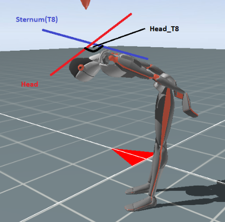 Xsens Biomechanical Model