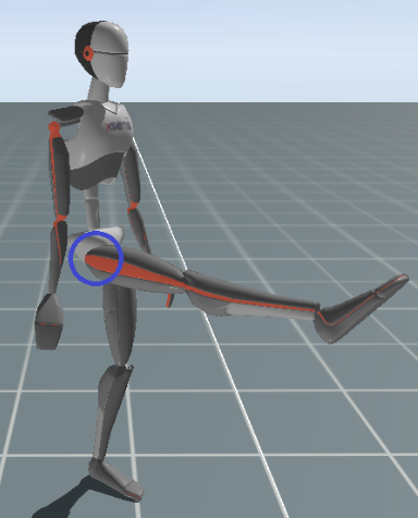 Xsens Biomechanical Model